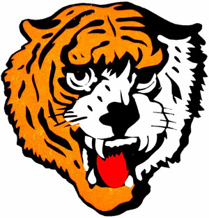 Shiv Sena Tiger