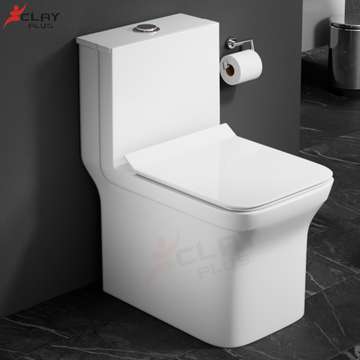 Moro Wall-Hung Rimless Western Toilet Commode with 4D Siphonic Flushing ...