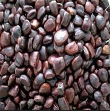 PMW Tamarind Seed Powder - 500G - Seed Price in India - Buy PMW ...