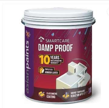 Asian Paints ANS6030 Beige Distemper Wall Paint Price in India - Buy ...