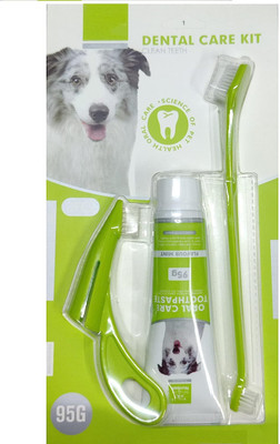 Pet Care Ridd Anti Tick And Flea Solution (6ml) Pet Coat Cleanser 6 ml ...