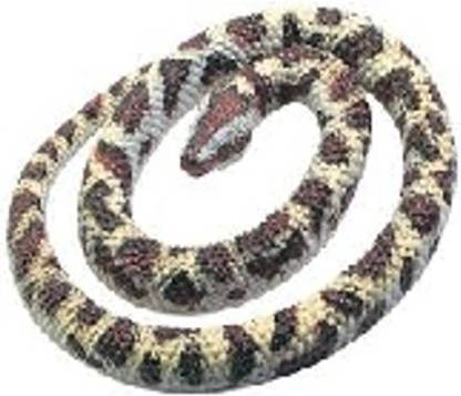 WILD REPUBLIC Rubber Snake Python Rock - Rubber Snake Python Rock . Buy ...