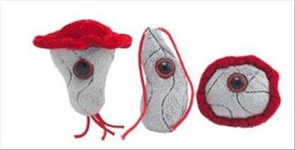 GIANT Microbes Brain Eating Amoebas 3 Mini Microbes Petri Dish - 1.5 ...