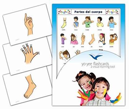 Yo Yee Flashcards Tarjetas De Vocabulario - Partes Del Cuerpo - Body ...