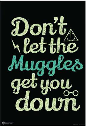 WB Official Licensed Harry Potter Dont Let The Muggles Get You Down ...