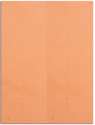 Swastikco Envelope 80GSM Paper Brown 16x12 inch (250 envelopes ...