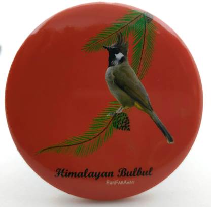 FarFarAway Himalayan Bulbul Fridge Magnets - Uttarakhand State Bird ...
