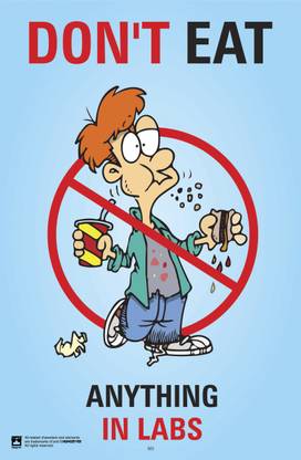 Don’t Eat Anything In Labs, Laboratory Instructions Framed Poster for ...