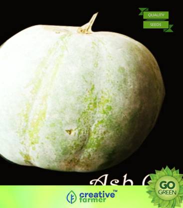 creative farmer Vegetable Seeds Kumbalam Seeds - Ashgourd Seeds Humid ...