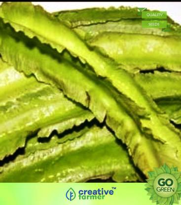 creative farmer Vegetable Seeds Chathura Payar Seeds - Winged Beans ...