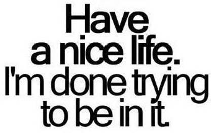 have a nice life Motivational Poster|Inspirational Poster|Country Love ...