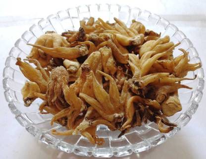Radhakrishna Orignal Yellow Salam Panja - 50 Grm, Hatta Haddi ...
