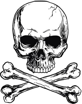 skull born |Wall Poster Sticker|Motivational Poster|Funky Poster ...