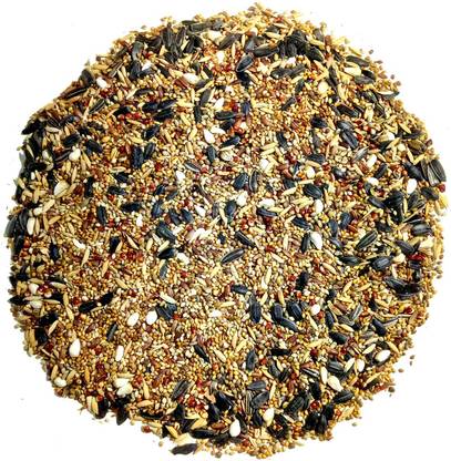 Sky Mixed Multi Seeds Nuts Natural Birds Foods(1000GM) 1KG for ...