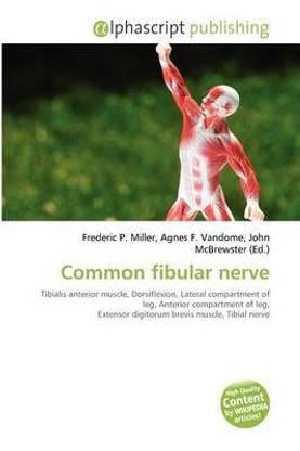 Common Fibular Nerve: Buy Common Fibular Nerve by unknown at Low Price ...