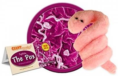 GIANT Microbes Pox Syphilis Treponema Pallidum Science Kit - 10 cm ...