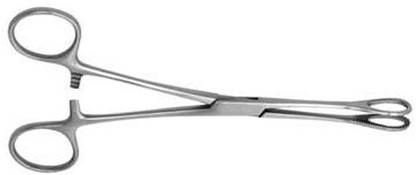 Universal SPONG HOLDING FORCEP 8 INCH / 20CM / STAINLESS STEEL Sponge ...