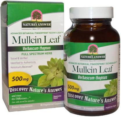 Nature's Answer Mullein Leaf, 500 mg, 90 Vegetarian Capsules Price in ...