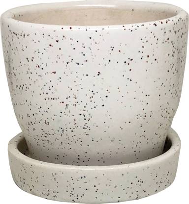 ShopMeFast Ceramic Pots Ceramic Planters with Detachable Saucers/Plate ...