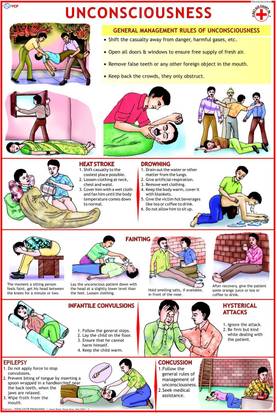 First Aid chart - Unconsciousness Photographic Paper - Educational ...
