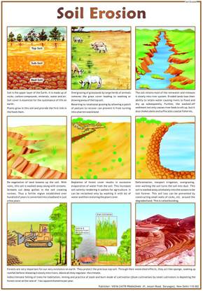 Environment Chart - Soil Erosion Photographic Paper - Educational ...