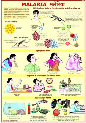Malaria Chart Photographic Paper - Educational posters in India - Buy ...