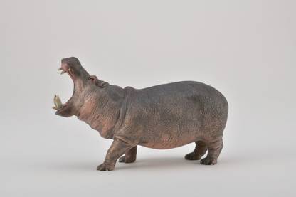 COLLECTA 88833 Hippopotamus - 88833 Hippopotamus . Buy Hippopotamus ...
