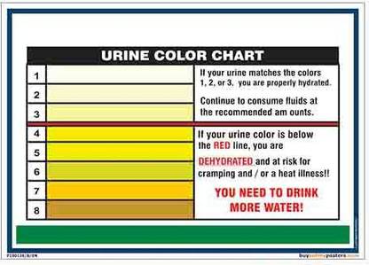 buysafetyposters.com Am I Hydrated Poster? In English PVC Sticker A4 (8 ...