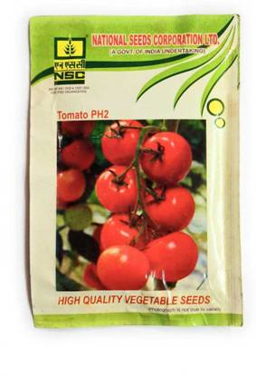 NSC Tomato Seed Price in India - Buy NSC Tomato Seed online at Flipkart.com