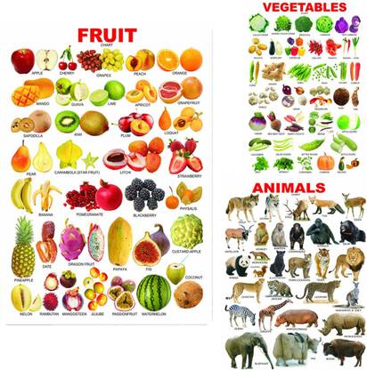 voorkoms 30.48 cm Vegetables Fruit Animals Early Learning Educational ...