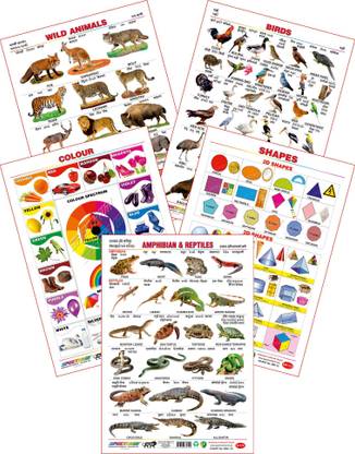 Spectrum Set of 5 Educational Large Wall Charts : ( Wild Animals ...