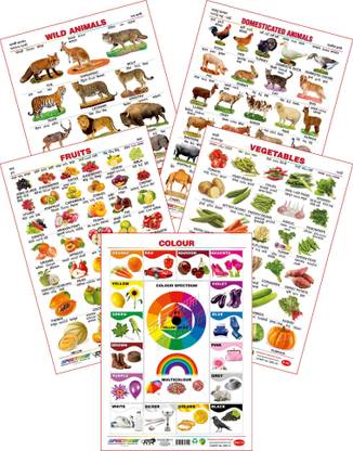 Spectrum Set of 5 Educational Large Wall Charts : ( Wild Animals ...