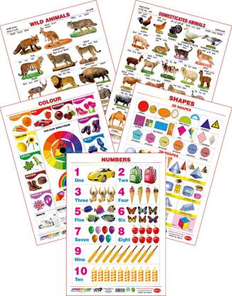 Spectrum Set of 5 Educational Large Wall Charts : ( Wild Animals ...