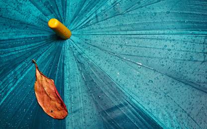 Nature Sticker Poster | Monsoon Season And Rain Drop On Umbrella ...