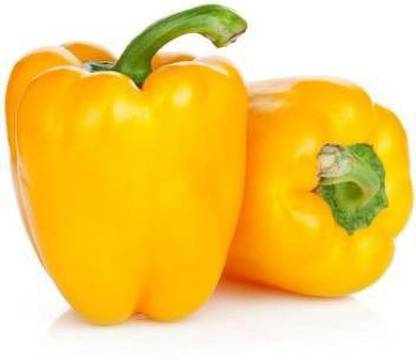 YOUNG STAR YELLOW CAPSICUM(PILI SHIMLA MIRCH) Seed Price in India - Buy ...