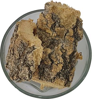 VINAYAK HERBAL Arlu Chaal, Arlu bark, Ailanthus excelsa Roxb Seed Price ...