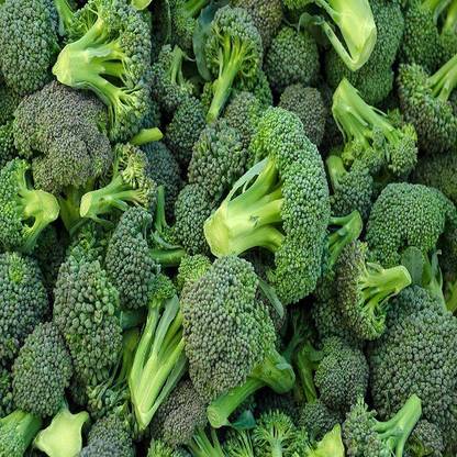 Sjeme Imperial broccoli seed Seed Price in India - Buy Sjeme Imperial ...
