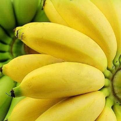 Nema Rare Exotic Dwarf Banana Seed Price in India - Buy Nema Rare ...