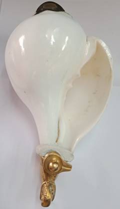 Kannan musical instruments Edampuri Shankh for Pooja (Blowing) Blowing ...