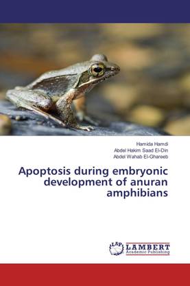 Apoptosis during embryonic development of anuran amphibians: Buy ...
