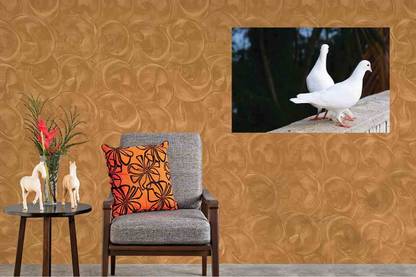 White Pigeon Poster|Birds Wall Poster|Interior Wall Decorative Poster ...
