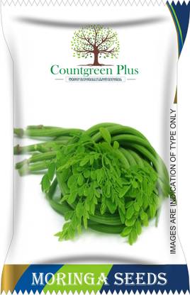 Countgreen Plus Drumstick/Moringa Oleifera (Sehjan Ki Fali) Seed Price ...