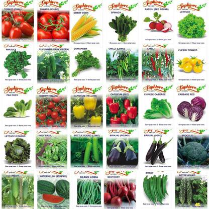 Saphirre Seeds Basil,Beans,,Beetroot,Bhindi,Bitter gourd,Brocolli ...