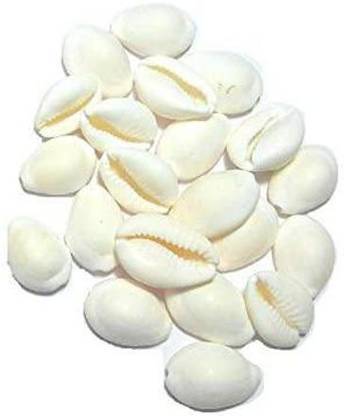 Arik Pure White 21 Kaudi / Koudi Shells- for Laxmi Pooja | Diwali Pooja ...