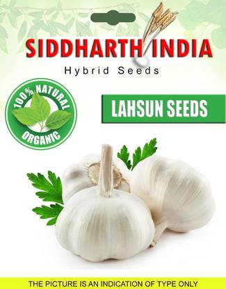 SIDDHARTH ORGANIC GREEN LAHSUN SEEDS Seed Price in India - Buy ...