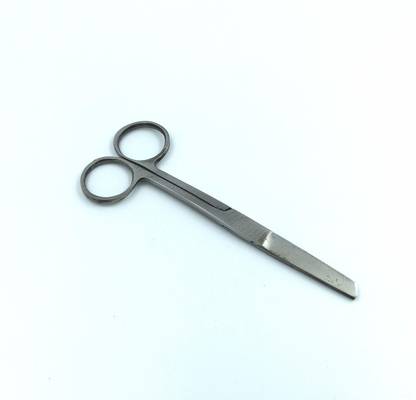 Flipkart.com | CRAFTWAFT Dissection Invertebrate Scissor Biology ...