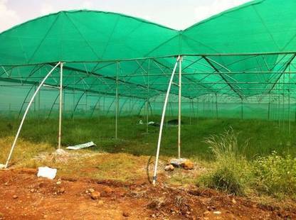 ZIMBLE Green Shade NET - (2mx 12m) 50%/ Sun Light blocking ...