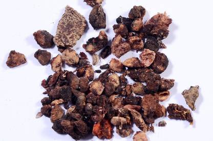 EasySeeds Wood Apple, Kaitha, Beal Patra,Katbel, Bela,Limonia ...