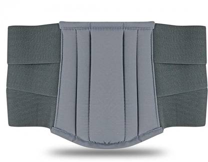 AASHI CARE Premium LS Support Belt Soft Padding XL (Unisex) Back ...
