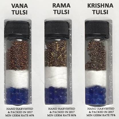 Biosnyg Vana, Rama, Krishna Tulsi Seed Price in India - Buy Biosnyg ...